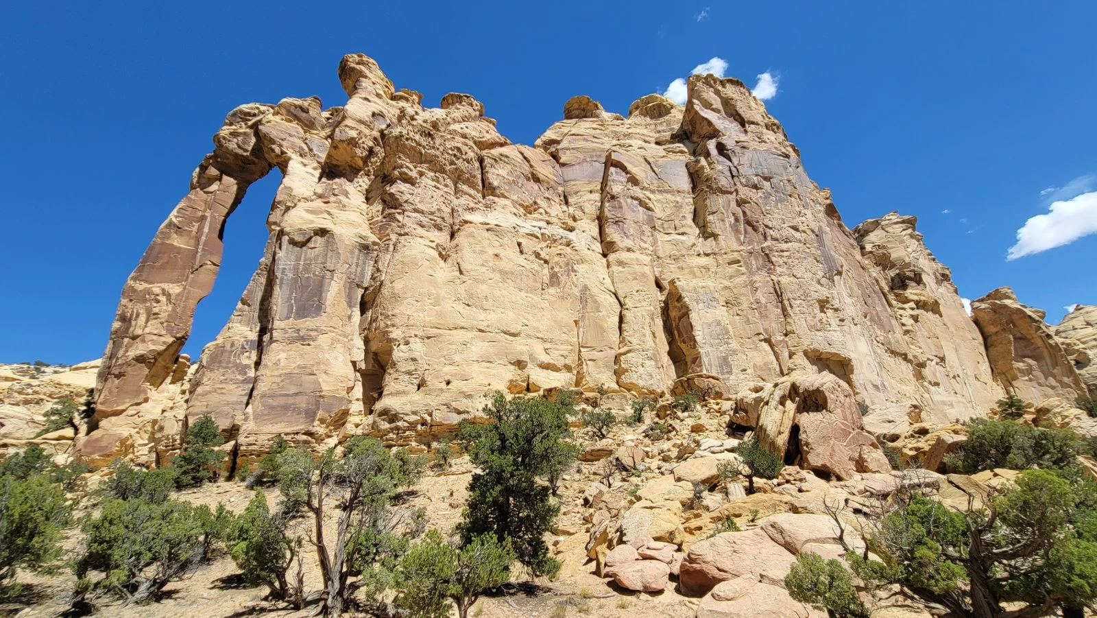 20230827_131406.jpg | Chevy Trail Boss Forum