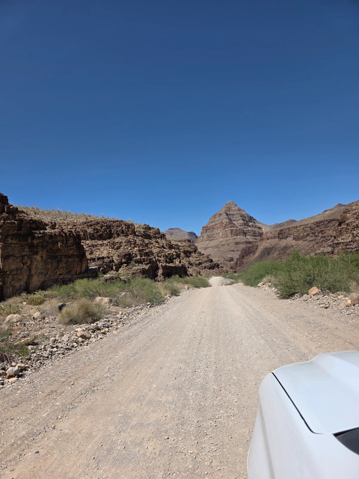 20250520_140518.webp | Chevy Trail Boss Forum