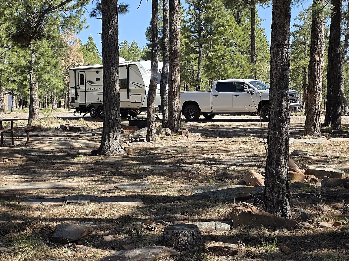 TB Cougar 1.webp | Chevy Trail Boss Forum